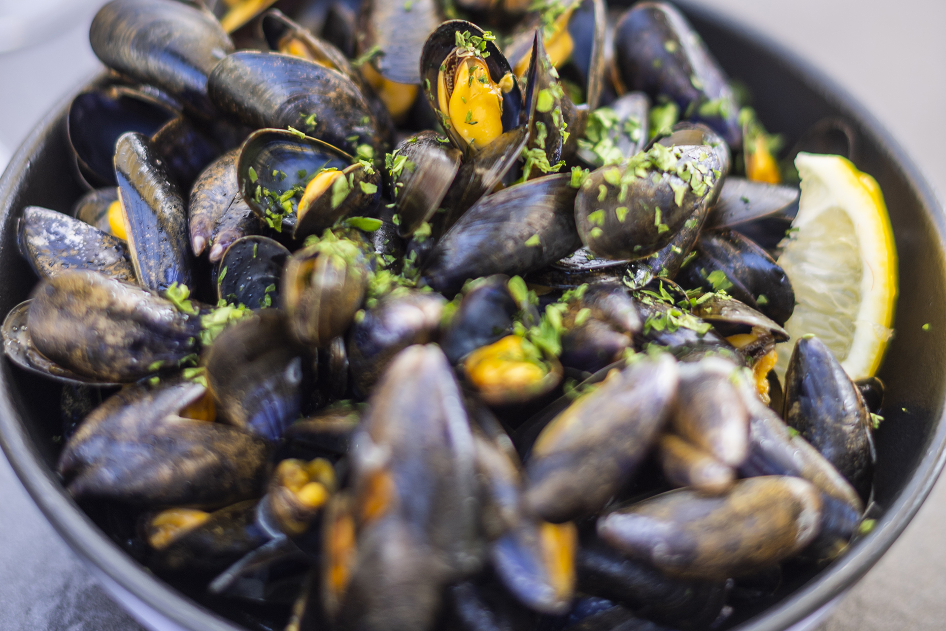 Les moules de bouchot, spécialité de Vendée | Vendée du Sud Site Officiel