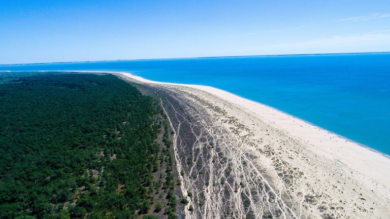 Plages de La Faute-sur-Mer - Vendée | Vendée du Sud Site Officiel