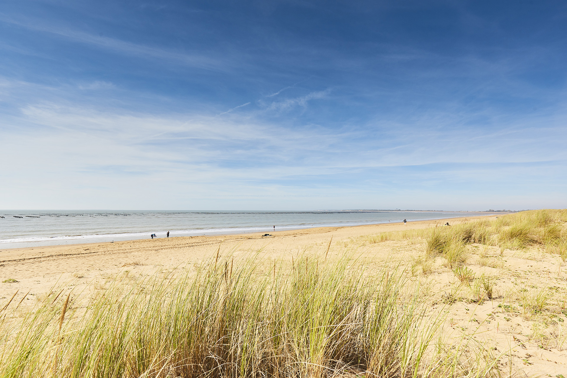 Plages de La Faute-sur-Mer - Vendée | Vendée du Sud Site Officiel
