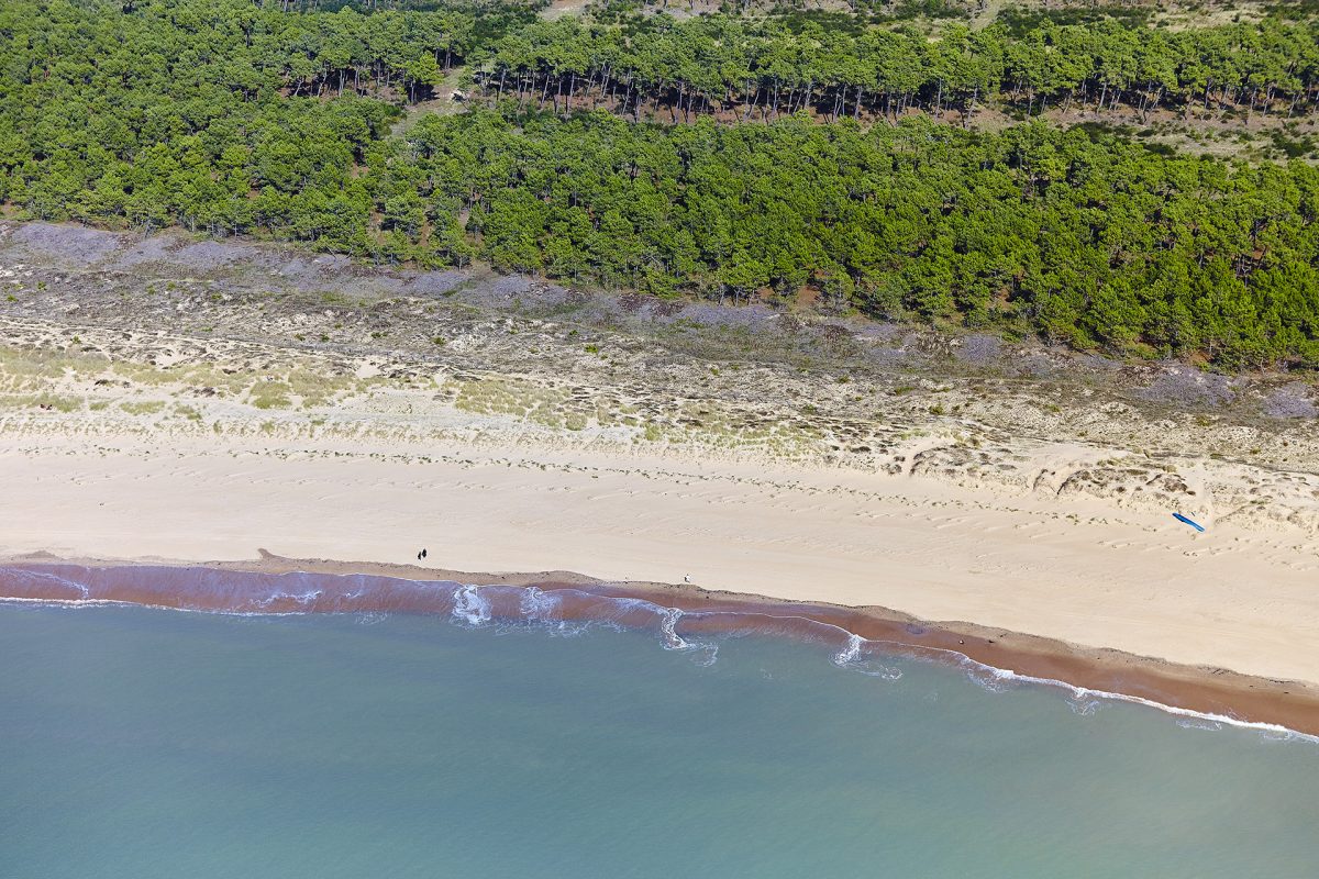 Plages de La Faute-sur-Mer - Vendée | Vendée du Sud Site Officiel