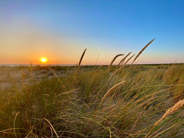Plages de La Faute-sur-Mer - Vendée | Vendée du Sud Site Officiel