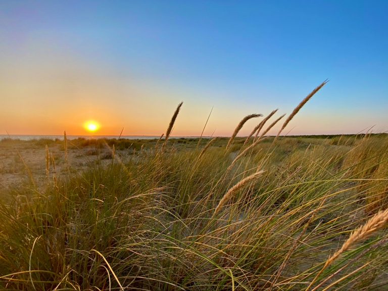 Plages de La Faute-sur-Mer - Vendée | Vendée du Sud Site Officiel